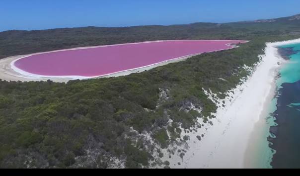 Hillier, Danau Pink Di Australia Barat