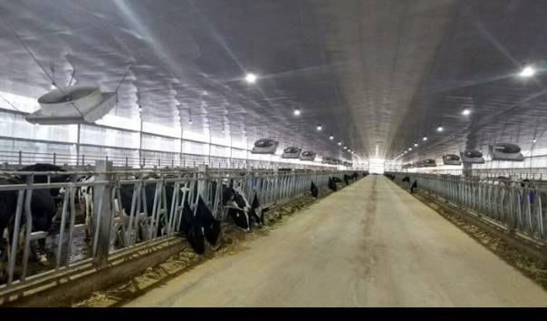 Digugat karena Dugaan Pencemaran Lingkungan, Begini Penjelasan PT ...