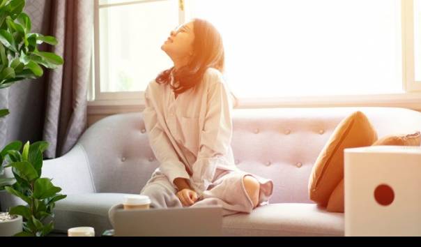 Kualitas Udara Memburuk, Ini 5 Air Purifier Alami untuk Bersihkan Udara ...