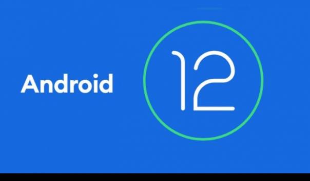 Daftar HP yang Mendukung Android 12 Snow Cone, Ada Xiaomi, Poco ...