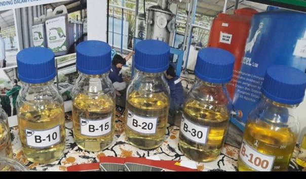 Indonesia Terus Mematangkan Implementasi Solar B40 yang Hadapi Sejumlah ...