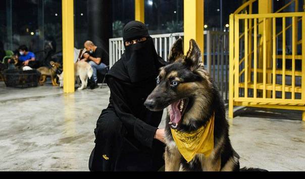 The Barking Lot, Kafe Khusus Anjing di Arab Saudi Kian Rame dan Buka ...