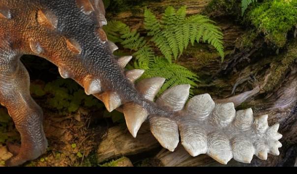 Ekor Dinosaurus yang Menyerupai Kapak Baja Berusia 75 Juta Tahun ...