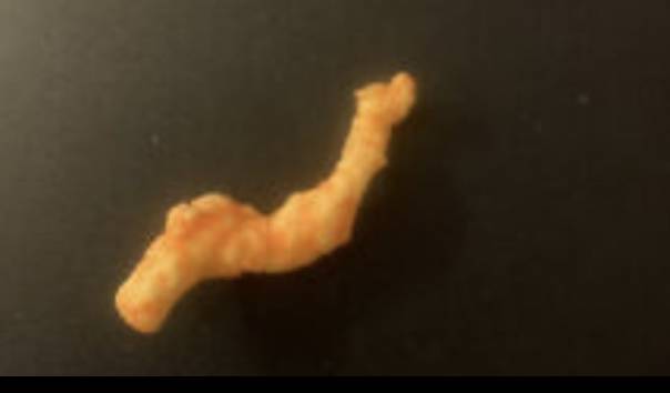 Wow, Sepotong Cheetos Berbentuk Monster Loch Ness Dijual Lebih dari ...