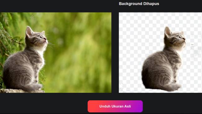 5 Cara Hapus Background Foto Online Tanpa Aplikasi, Mudah dan Cepat