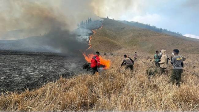 Kebakaran Gunung Bromo Hari ke-6: Titik Api Masih Muncul, Upaya ...