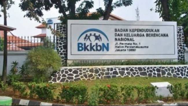 Gaji hingga Rp6 Juta! Ini Formasi PPPK Teknis BKKBN 2023 untuk SMA/SMK ...