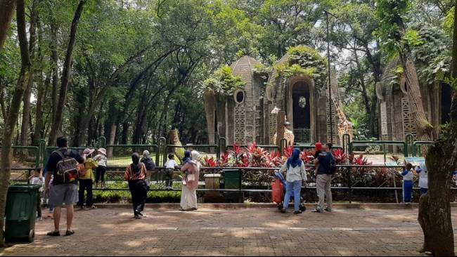 Selama Ramadan, Taman Margasatwa Ragunan Tetap Buka, Berikut Jam ...