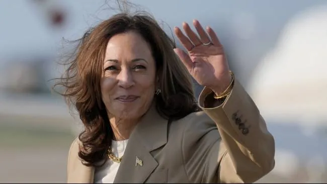 Profil Kamala Harris: Dari Jaksa, Wakil Presiden, hingga Calon Pemimpin ...