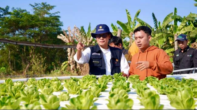 Apa Itu Petani Milenial 2024 yang Dijamin Dapat 10 Juta per Bulan? Ini Cara Daftarnya