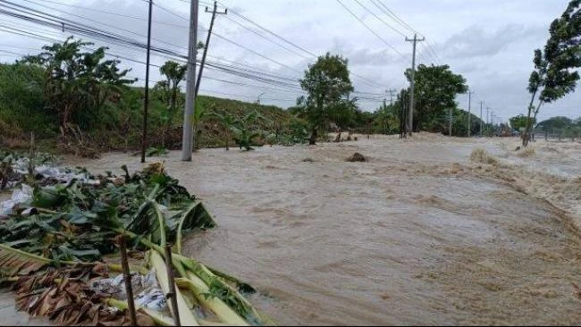 Jalur Semarang-Purwodadi Lumpuh akibat Banjir Demak, 4.024 Warga Terdampak