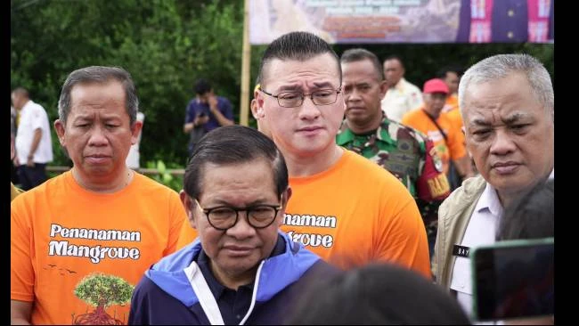 Pramono Akan Bangun Giant Mangrove Wall untuk Atasi Banjir Rob dan Abrasi di Jakarta