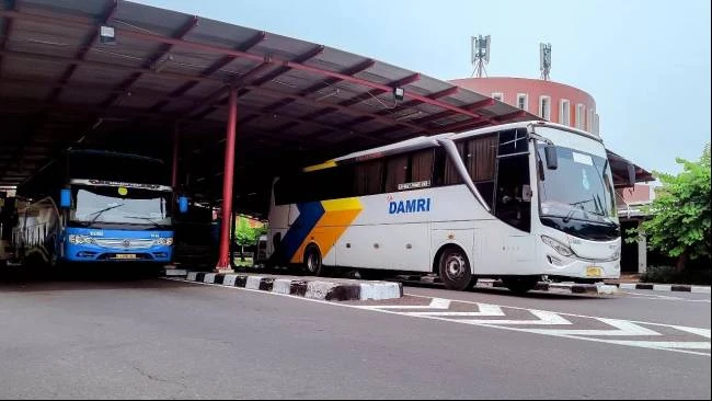 Perum DAMRI Buka Lowongan Kerja Posisi Pengemudi, Terbuka untuk Lulusan ...