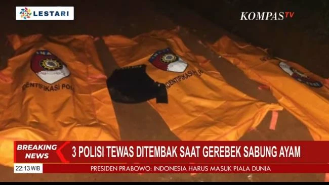 3 Anggota Polisi Tewas Saat Gerebek Tempat Judi Sabung Ayam di Lampung