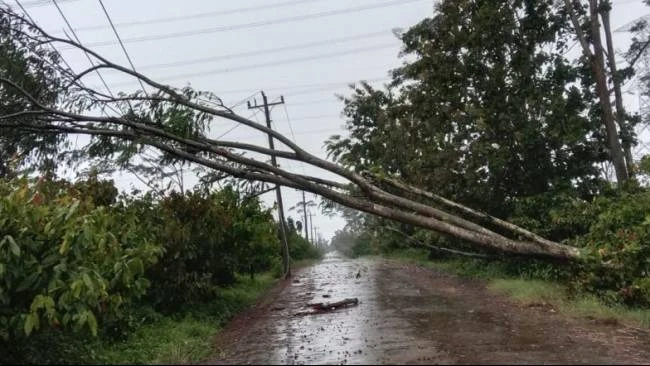 Hujan Deras dan Angin Kencang Terjang Jateng, PLN Ungkap Listrik untuk ...