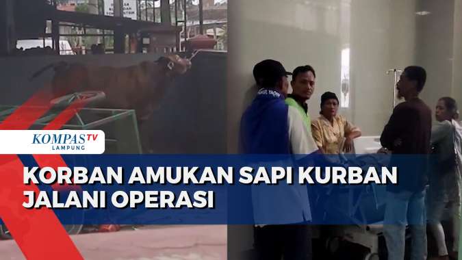 Panitia Korban Amukan Sapi Jalani Operasi