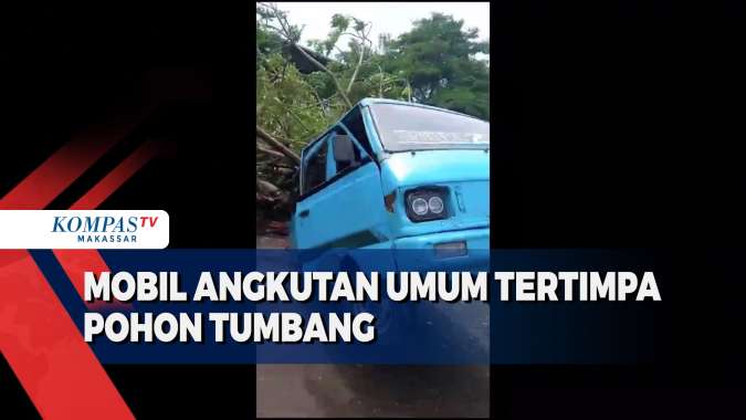 Mobil Angkutan Umum Tertimpa Pohon Tumbang