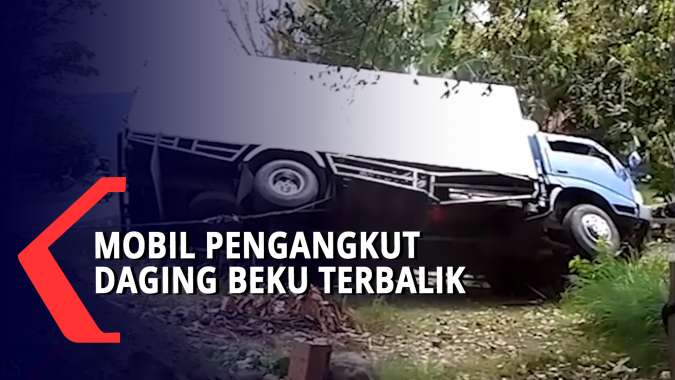 Mobil Pengangkut Daging Beku Terbalik, Satu Penumpang Terjepit