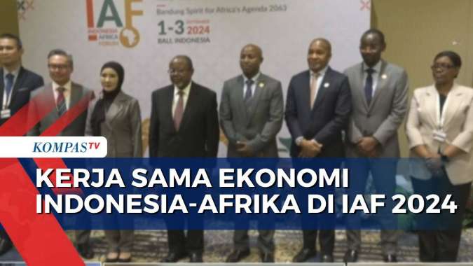 Apa Keuntungan Indonesia di IAF 2024? Begini Jawaban Direktur Afrika ...