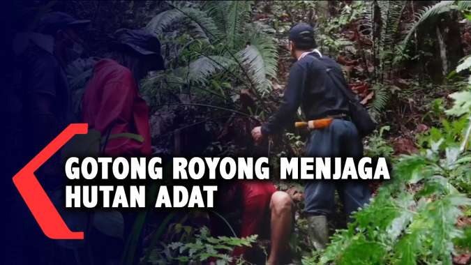 Masyarakat Desa Sepahat Gotong Royong Menjaga Hutan Adat