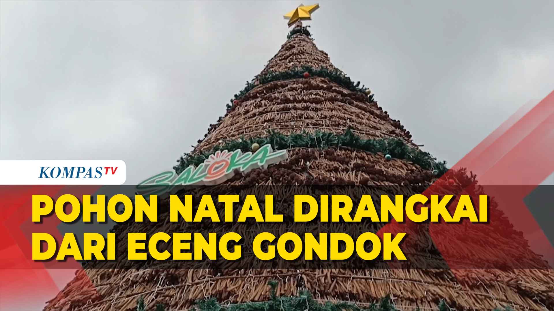 Video: Keunikan Pohon Natal Terbuat dari Eceng Gondok di Semarang