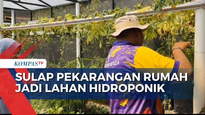 Pemuda di Indramayu manfaatkan Pekarangan Rumah Jadi Lahan Hidroponik dan Budidaya Belut
