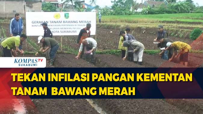 Tekan Infilasi Pangan Kementan Tanam 10 Hektar Bawang Merah