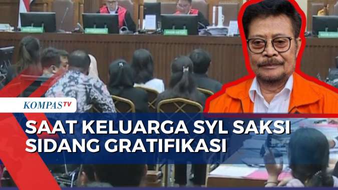 Sidang Korupsi SYL di Kementan, Keluarga hingga Akuntan Partai NasDem ...
