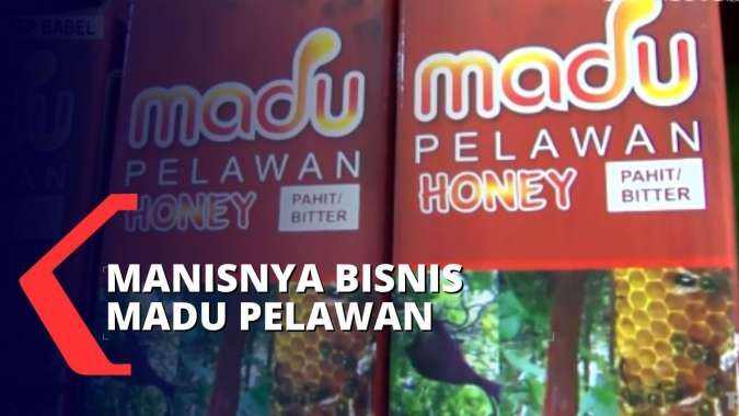 Budidaya Madu Pelawan dan Madu Kelulut di Bangka Belitung yang Berhasil Masuk Pasar Singapura