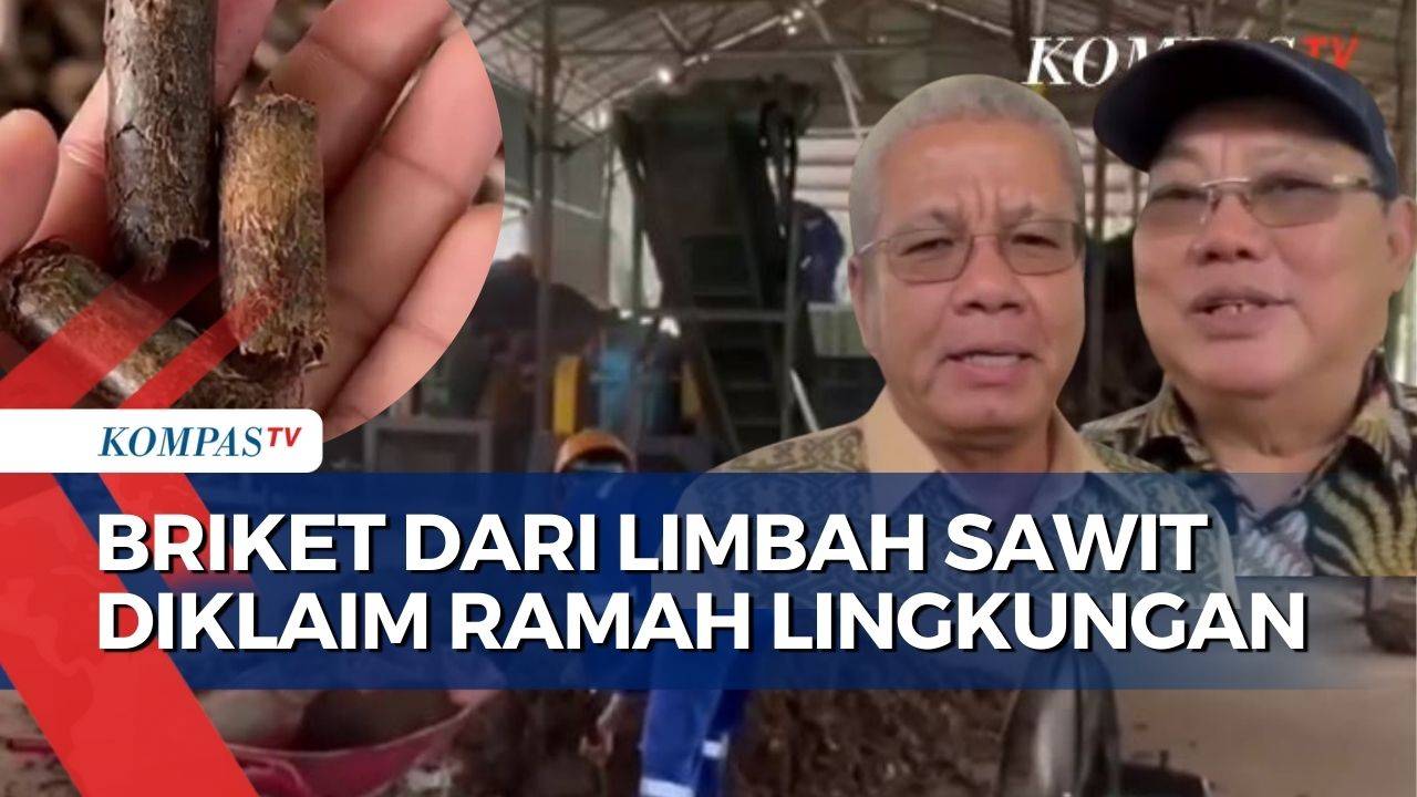 Video: Limbah Sawit Diubah Jadi Briket, Bahan Bakar Alternatif Terbarukan Ramah Lingkungan