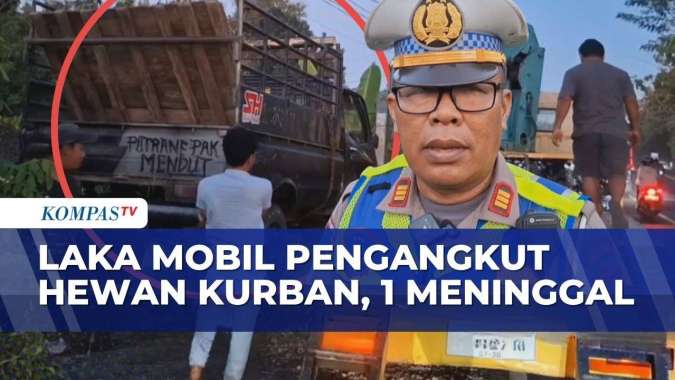 Mobil Penjemput Hewan Kurban Tabrak Dua Motor di Gunungkidul, Satu ...