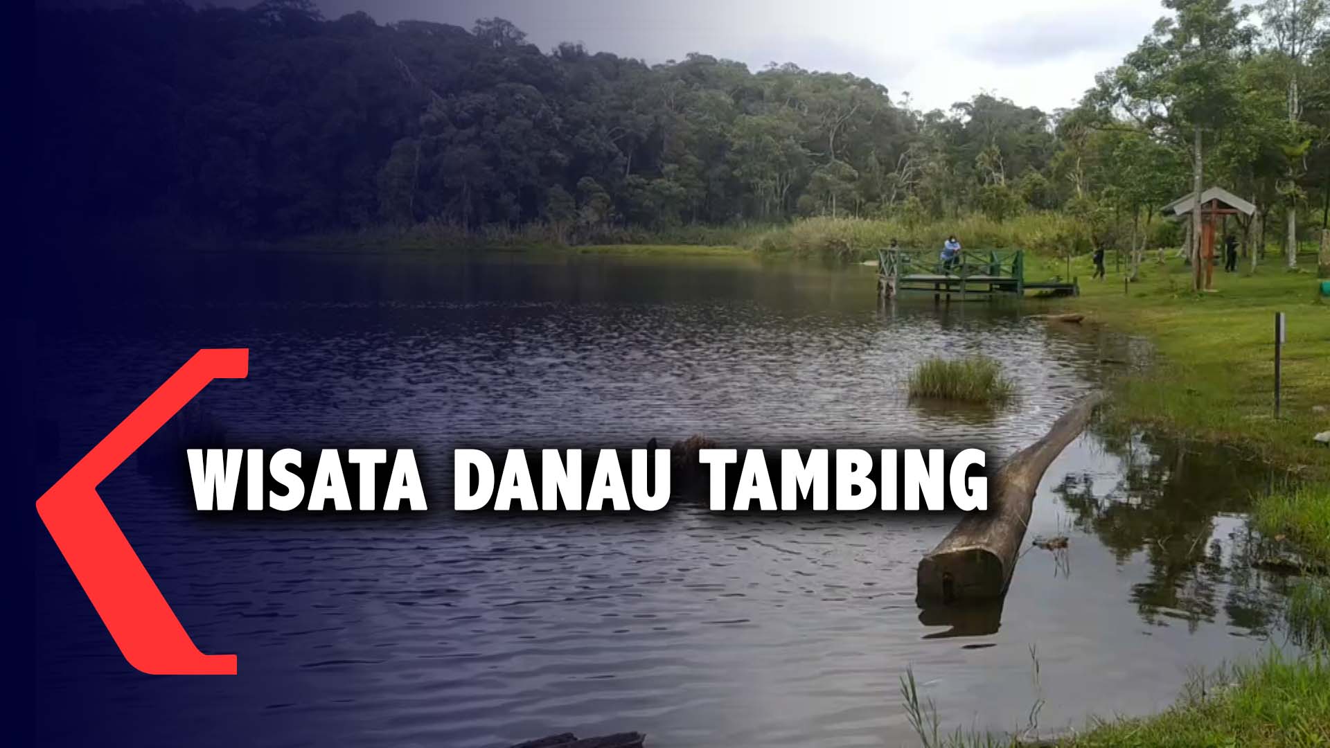 Wisata Danau Tambing