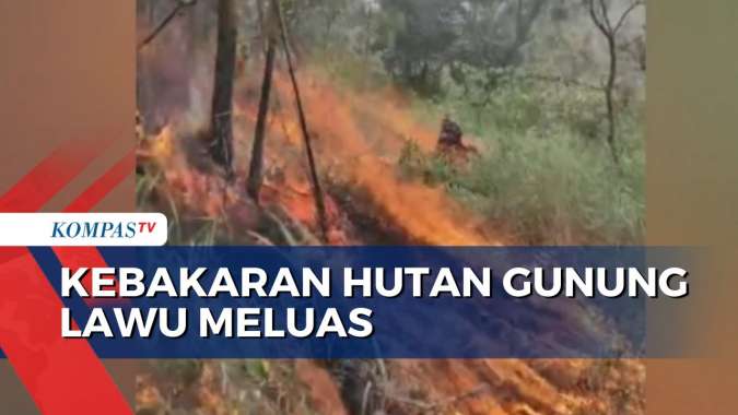 Kebakaran Hutan Gunung Lawu Di Ngawi Meluas Hingga Jawa Tengah