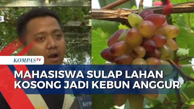 Kisah Daffa, Mahasiswa di Lampung yang Raup Puluhan Juta Rupiah dari ...