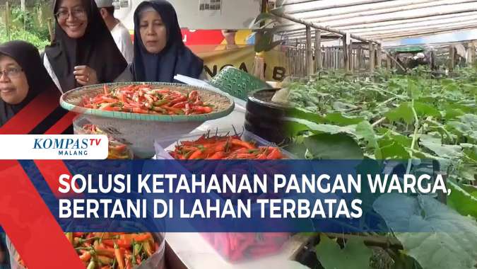 Melihat Kebun Botol, Solusi Bertani Ala Warga Perkotaan di Lahan Terbatas