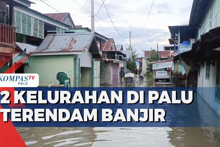 Video: 2 Kelurahan di Palu Terendam Banjir