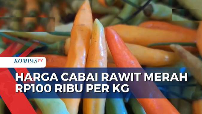 Harga Cabai Rawit Makin Pedas, Capai Rp100 Ribu per Kilogram di Yogyakarta