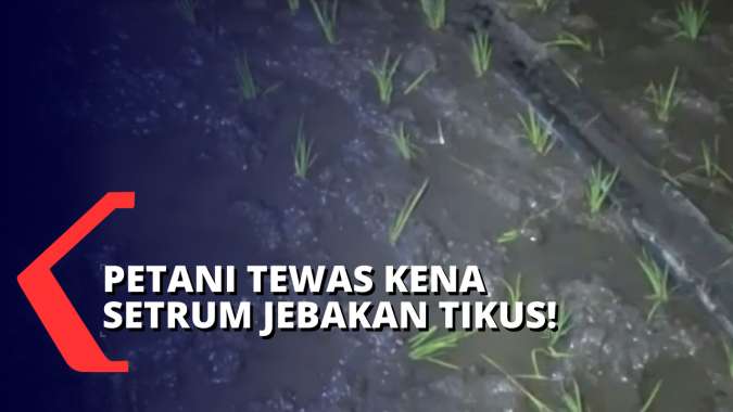 Tragis! Petani Meninggal Usai Kena Setrum Listrik Jebakan Tikus
