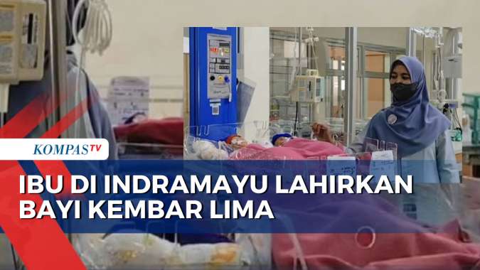 Pertama Kali! Seorang Ibu di Indramayu Lahirkan 5 Bayi Kembar, Kondisi Semuanya Sehat