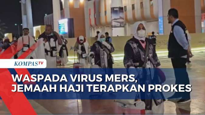 Waspada Virus Mers-Cov! Jemaah Haji Diimbau Jaga Protokol Kesehatan dan Tidak ke Peternakan Unta