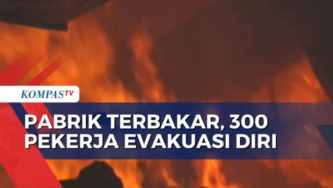 Kebakaran Pabrik Pengolahan Kapas, 4 Unit Mobil Damkar Diterjunkan ke Lokasi