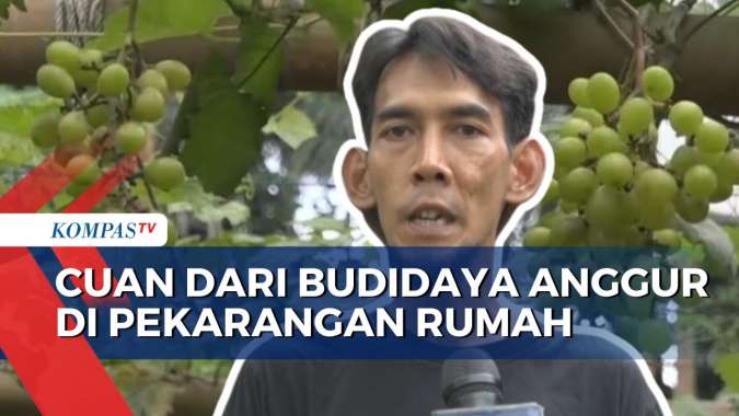 Omzet Hingga Belasan Juta Rupiah, Gusti Irawan Asal Lampung Ini Sukses ...