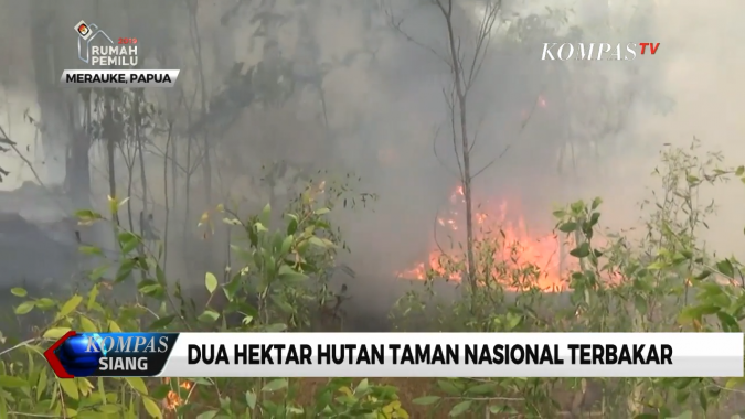 Dua Hektar Hutan Taman Nasional Wasur Terbakar