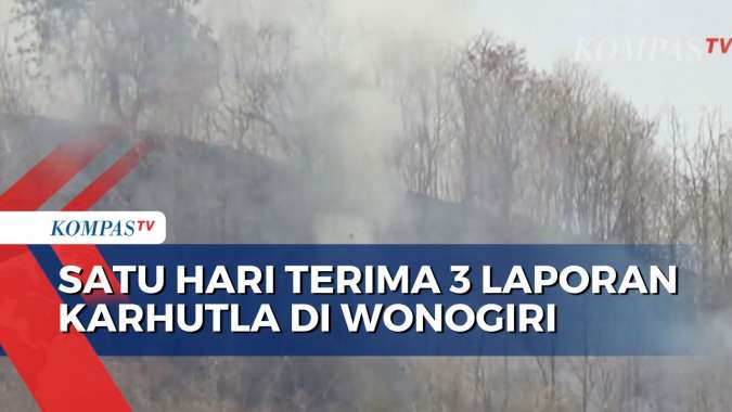 Kemarau Ekstrem Sebabkan Potensi Karhutla Meningkat dan Semakin Intens!