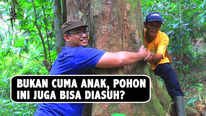 Harmoni Alam dan Manusia di Desa Air Tenam - Ekspedisi Hutan Indonesia ...