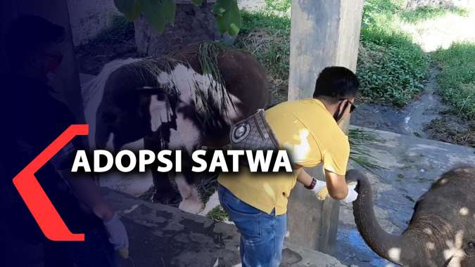 Program Adopsi Satwa Untuk Selamatkan Kebun Binatang