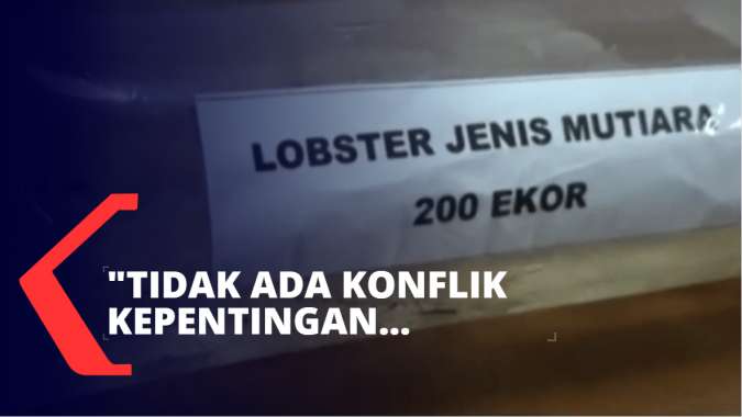 Gerindra Sebut Tidak Ada Konflik Kepentingan Menteri KKP Soal Izin Ekspor Benih Lobster