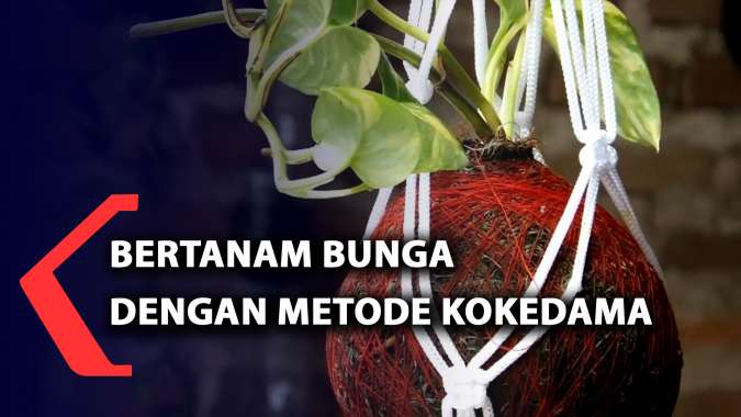 Bertanam Bunga Dengan Metode Kokedama