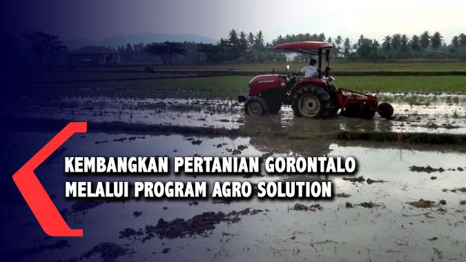 Pupuk Indonesia Kembangkan Pertanian Di Gorontalo Melalui Program Agro ...
