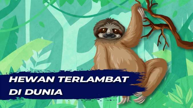 Fakta Menarik Sloth, Hewan Paling Lambat di Dunia